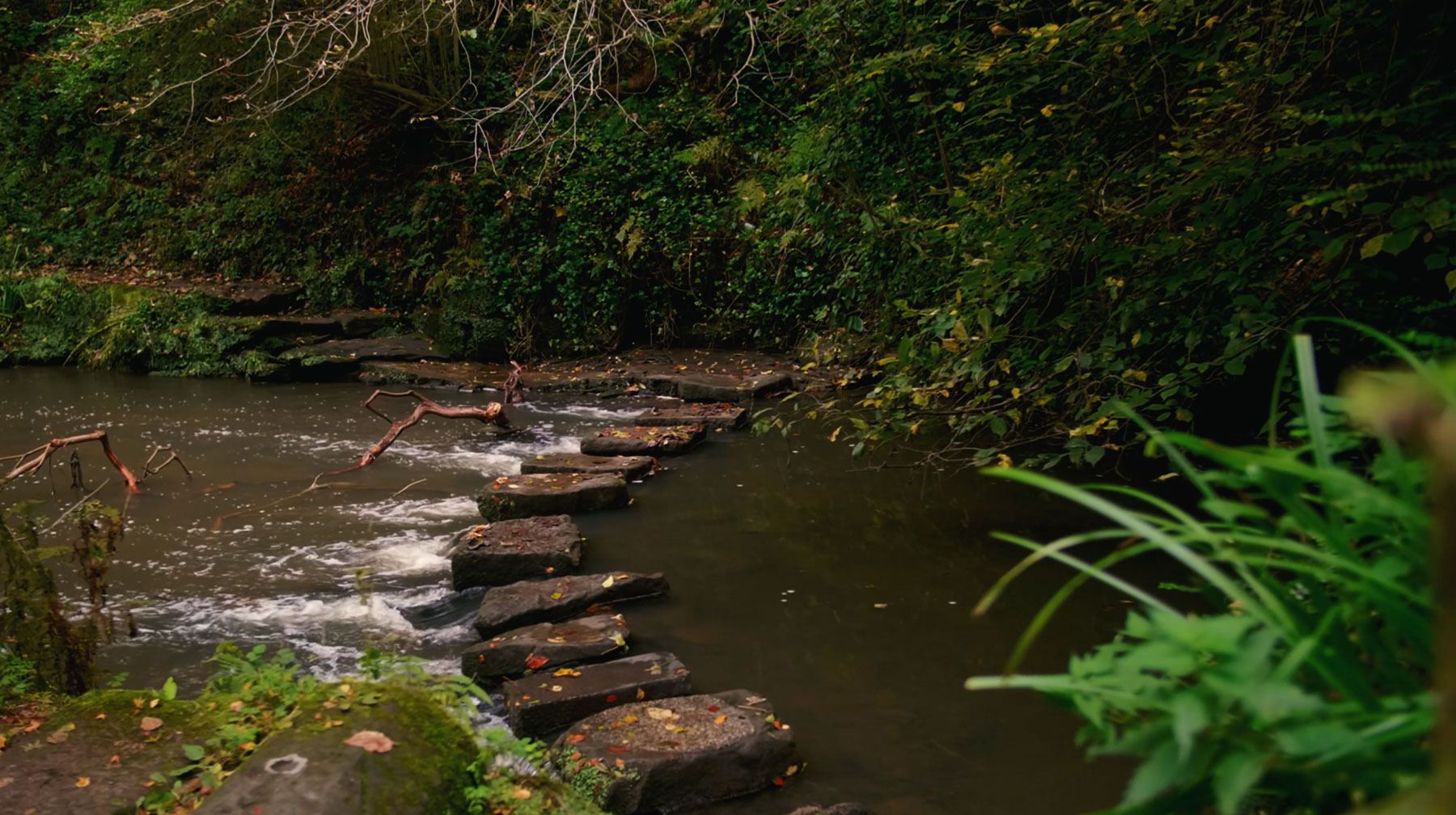 The story so far: The Ouse Burn Way - The Ouseburn Way